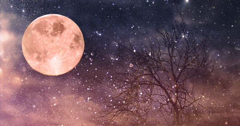 Taurus Full Moon Eclipse: Moonshadow, Moonshadow! | Daykeeper Journal ...