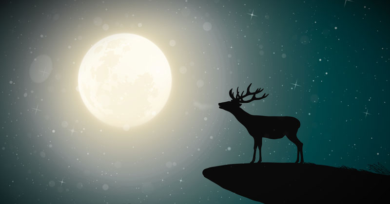 Capricorn Full Moon 2023: Emerging and Returning | Daykeeper Journal ...